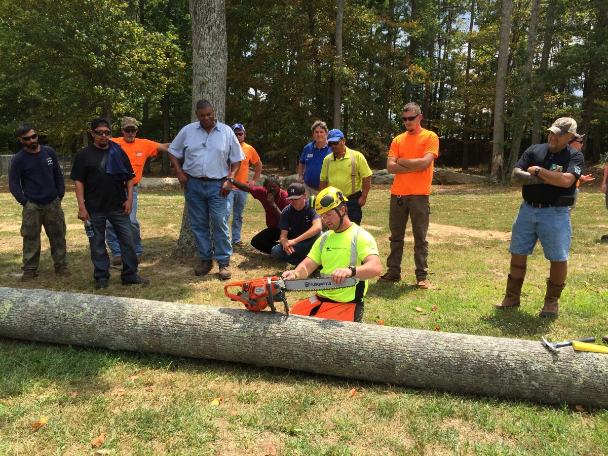 Chainsaw Safety – Chainsaw Training Resources at the Center for Urban Agriculture